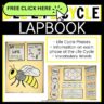 Life Cycle Worksheets - Little Bins for Little Hands
