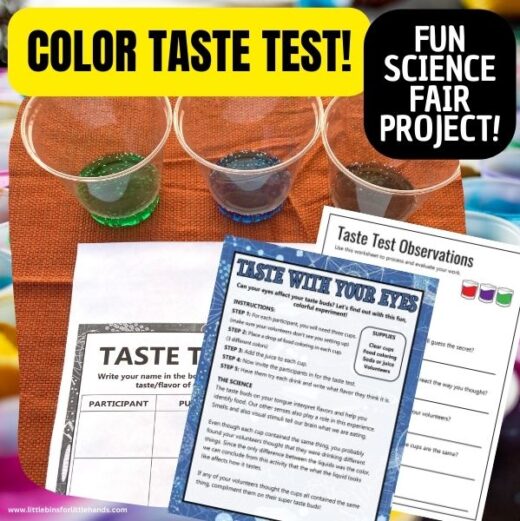 20 Color Science Experiments | Little Bins for Little Hands