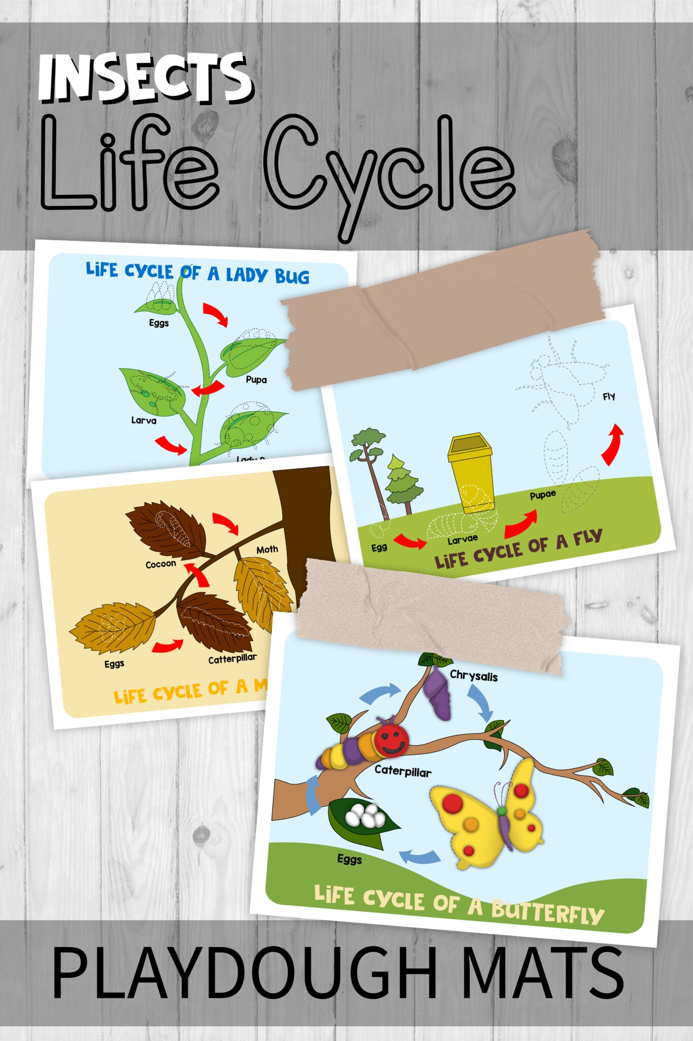 Bug Playdough Mats - Little Bins for Little Hands