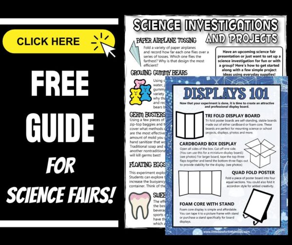 5th Grade Science Projects - Little Bins for Little Hands