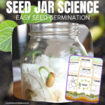 Seasonal Science Experiments for Kids | Little Bins for Little Hands