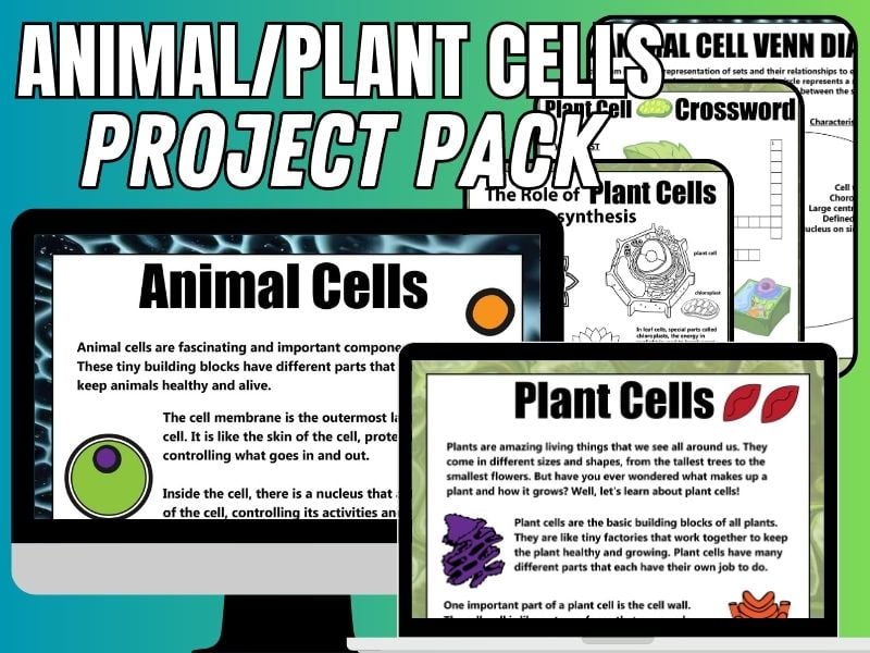 Animal Cell Diorama (Free Printable) - Little Bins for Little Hands