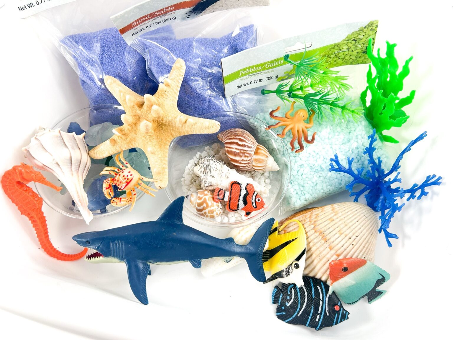 Ocean Sensory Bin - Little Bins for Little Hands