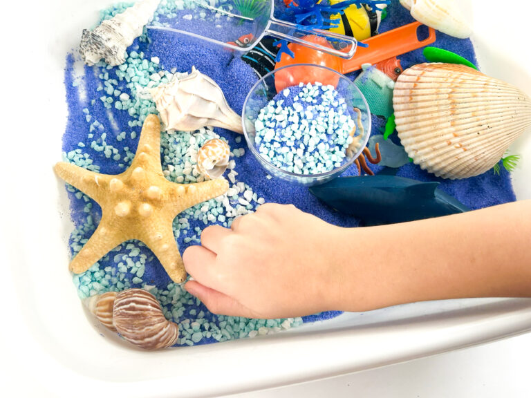 Ocean Sensory Bin - Little Bins for Little Hands
