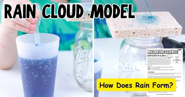 How Does Rain Form for Kids? Explanation & Rain Cloud Model