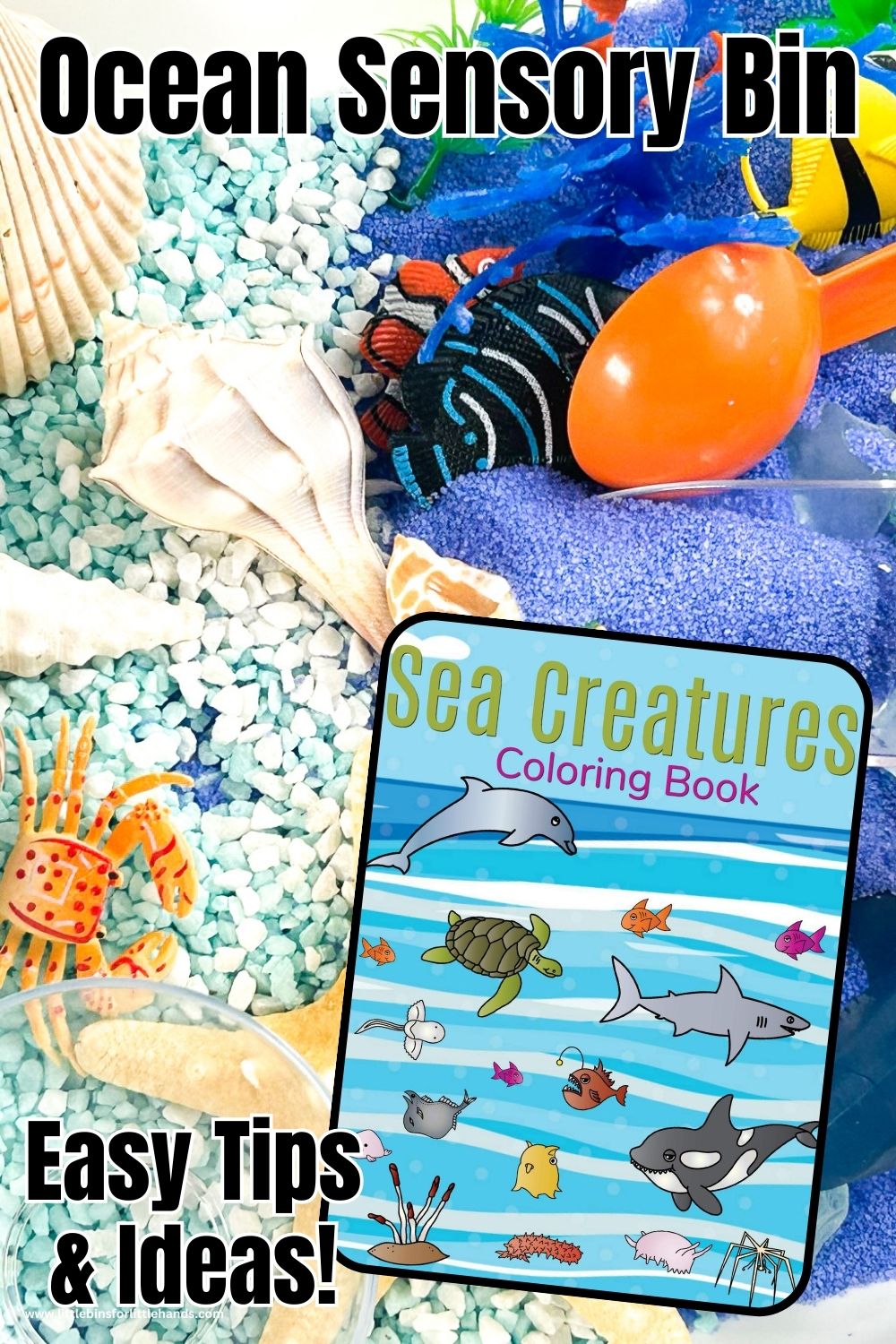 Ocean Sensory Bin - Little Bins for Little Hands