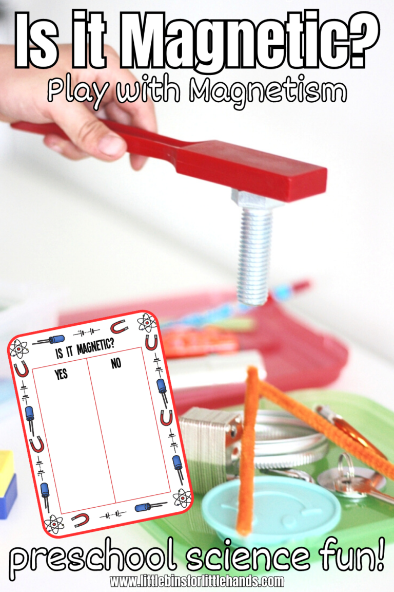Magnetic and Nonmagnetic Materials | Magnet Science Activity