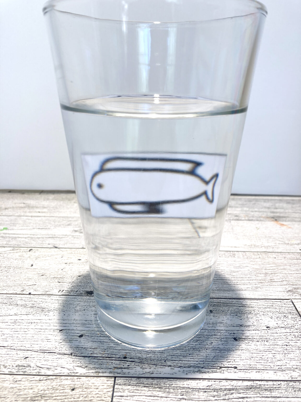 Water Refraction Experiment - Little Bins for Little Hands