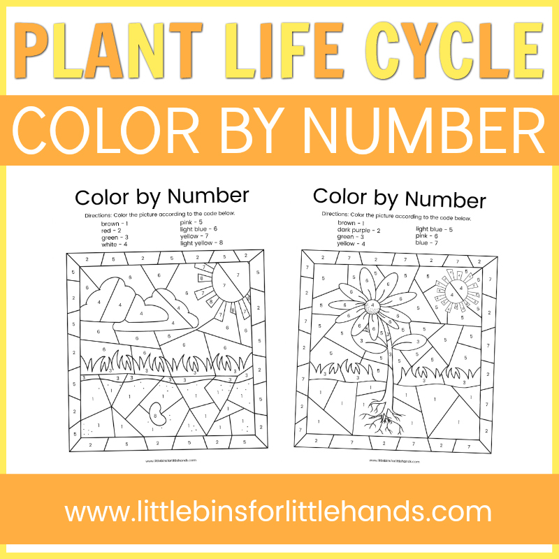 Plant Life Cycle Color By Number - Little Bins for Little Hands