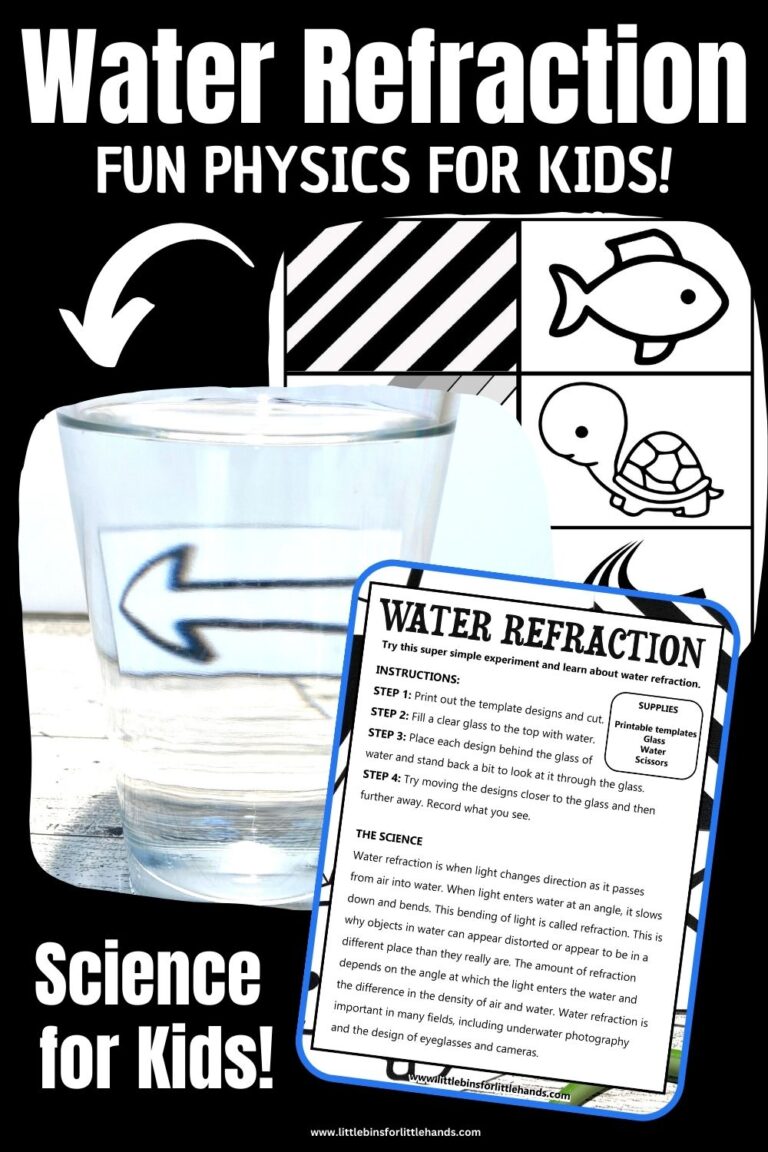 Water Refraction Experiment - Little Bins for Little Hands