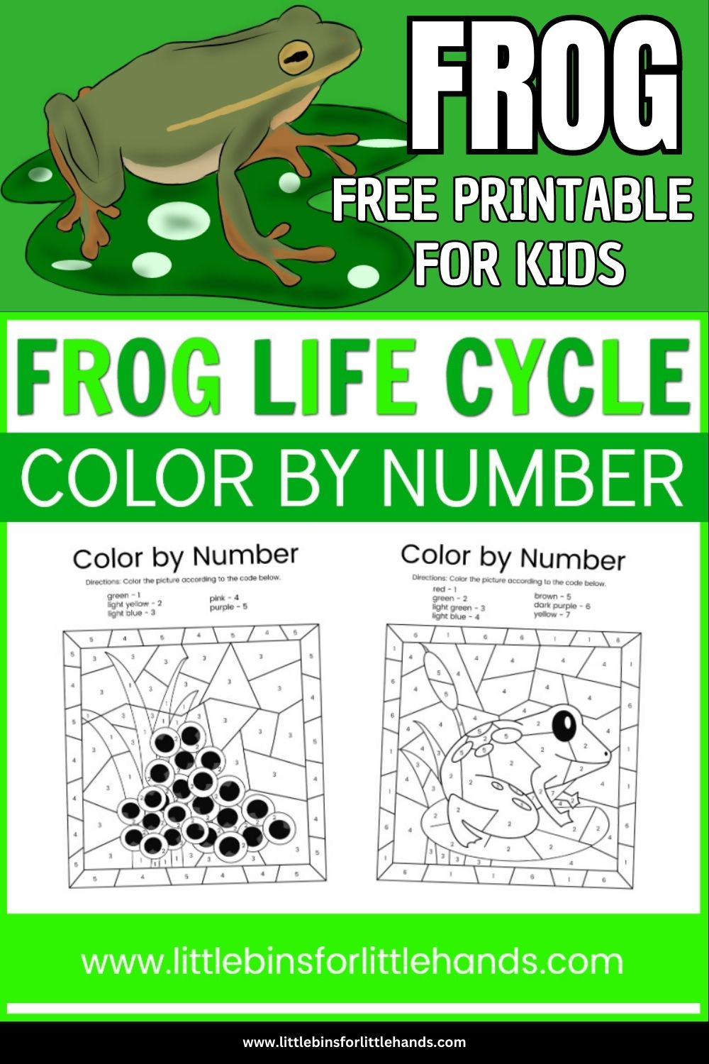 Frog Life Cycle Color By Number - Little Bins for Little Hands