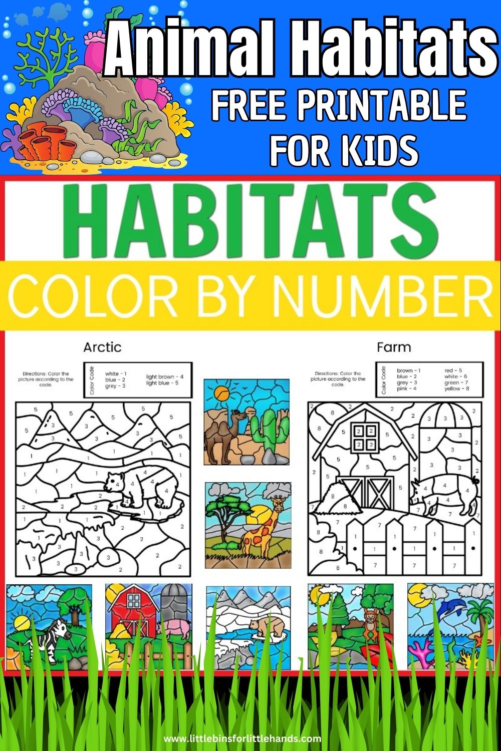 Animal Habitats Color By Number - Little Bins for Little Hands
