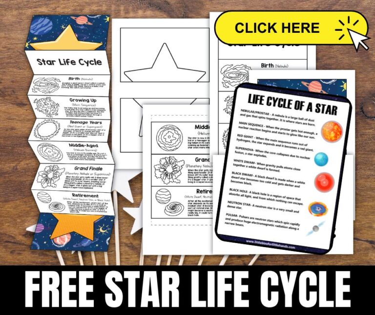 Life Cycle of a Star - Little Bins for Little Hands