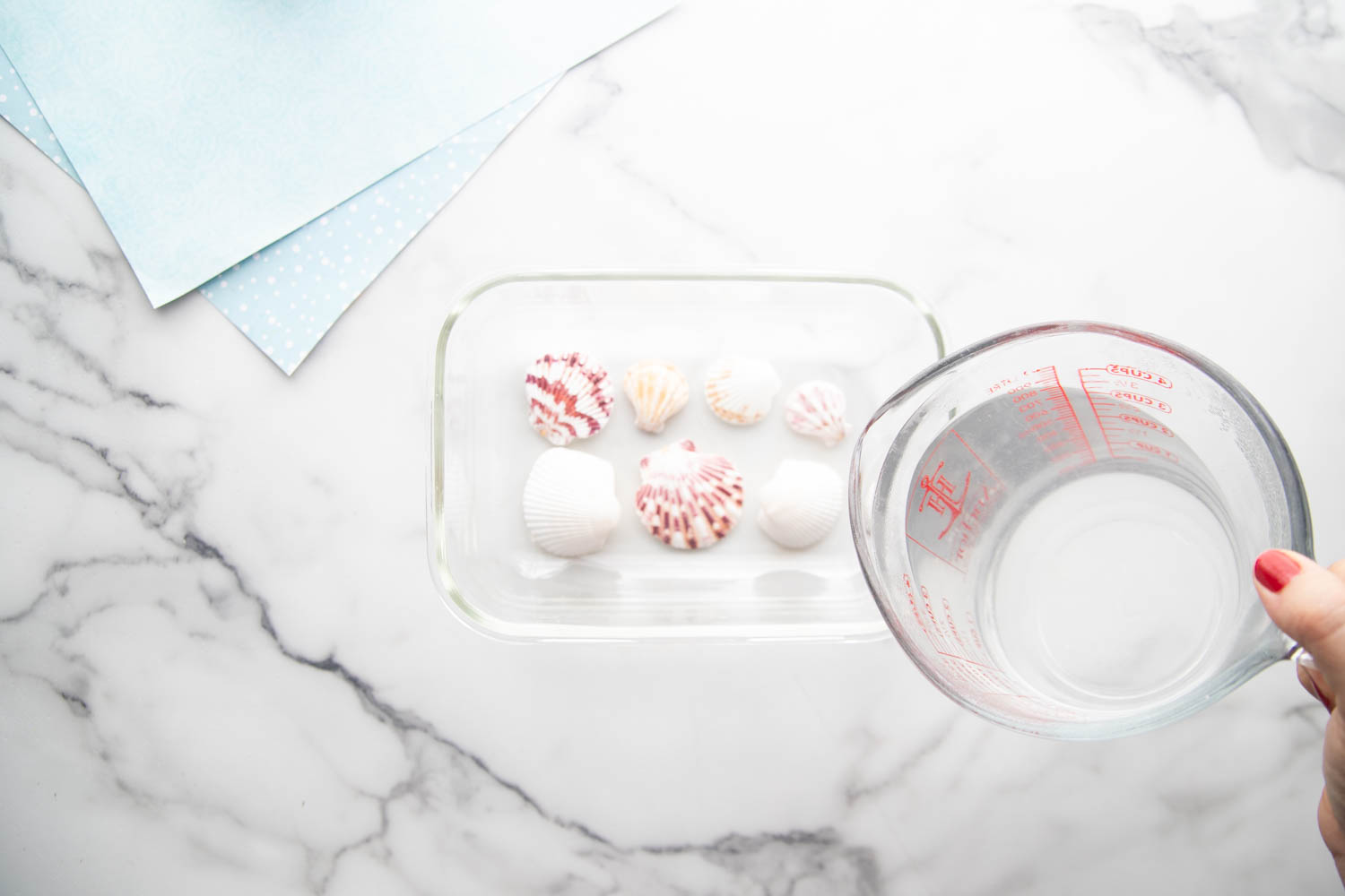 Shell Crystal Craft - Little Bins for Little Hands