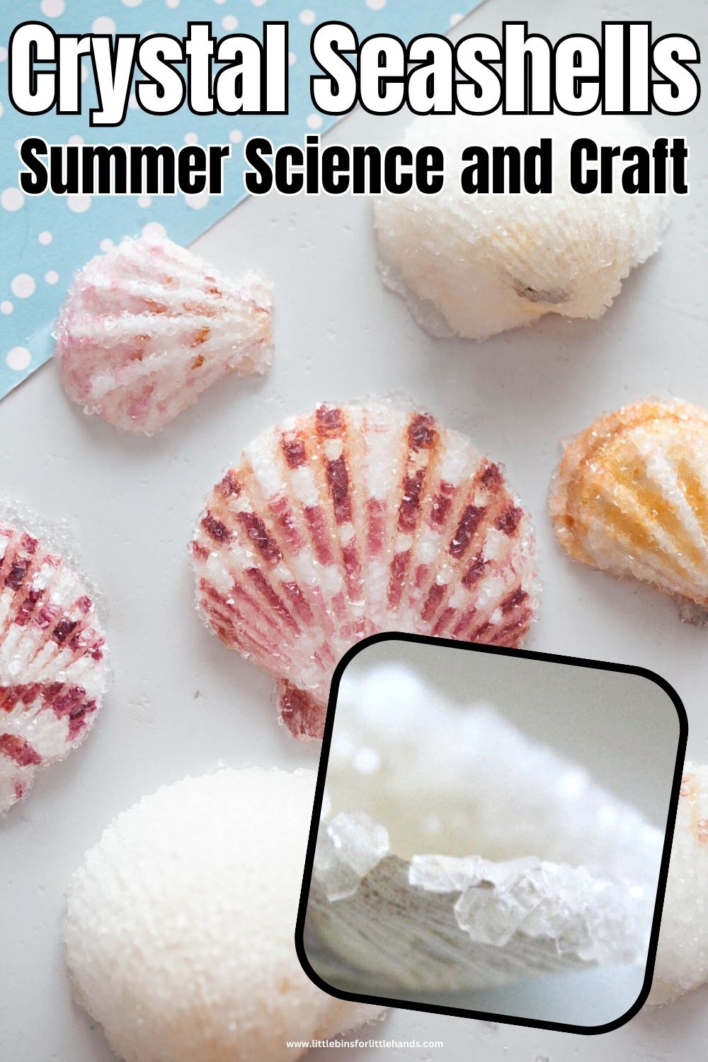 Shell Crystal Craft - Little Bins for Little Hands