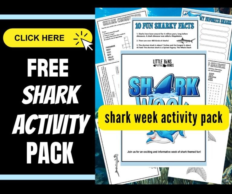 Shark Facts for Kids (Free Printable) - Little Bins for Little Hands