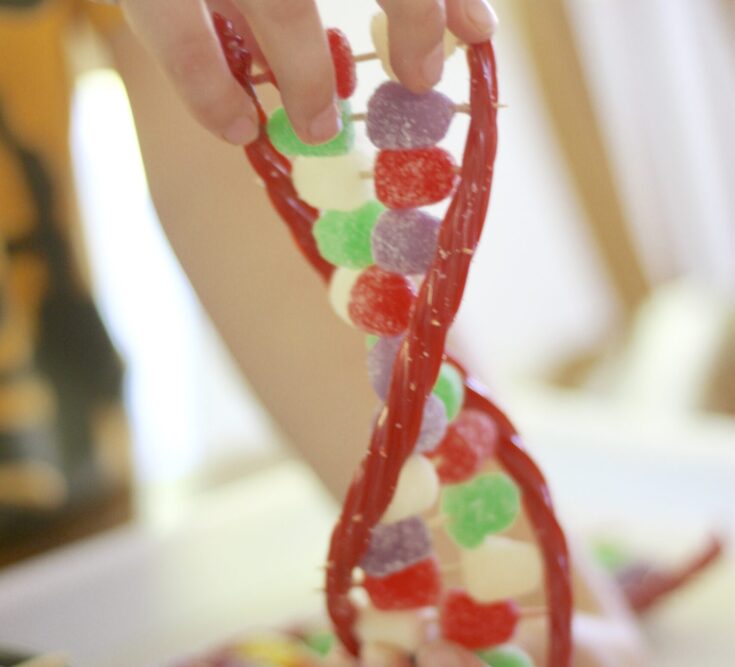 Science Snacks for Kids {Easy Edible STEM Activities}