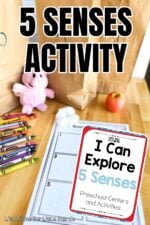 5 Senses Guess The Object Game - Little Bins for Little Hands