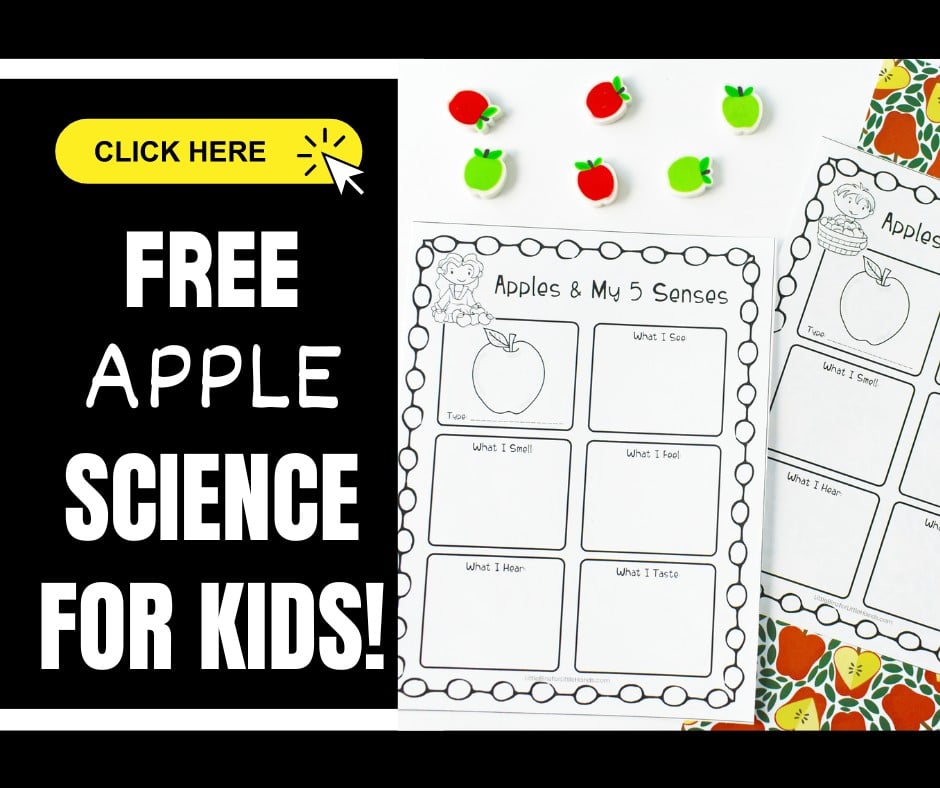 5 Senses Apple Taste Test - Little Bins for Little Hands