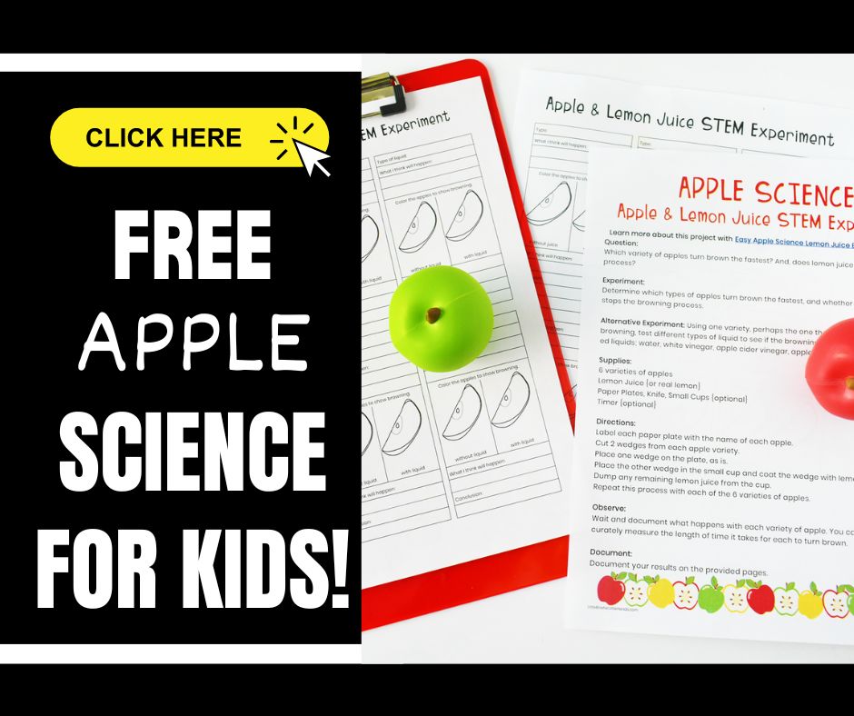 Apple Browning Experiment - Little Bins for Little Hands