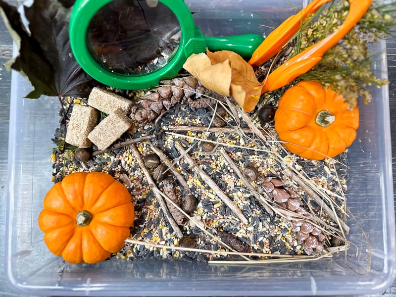 Fall Sensory Bin Ideas for Hands-On Autumn Play - Little Bins for ...