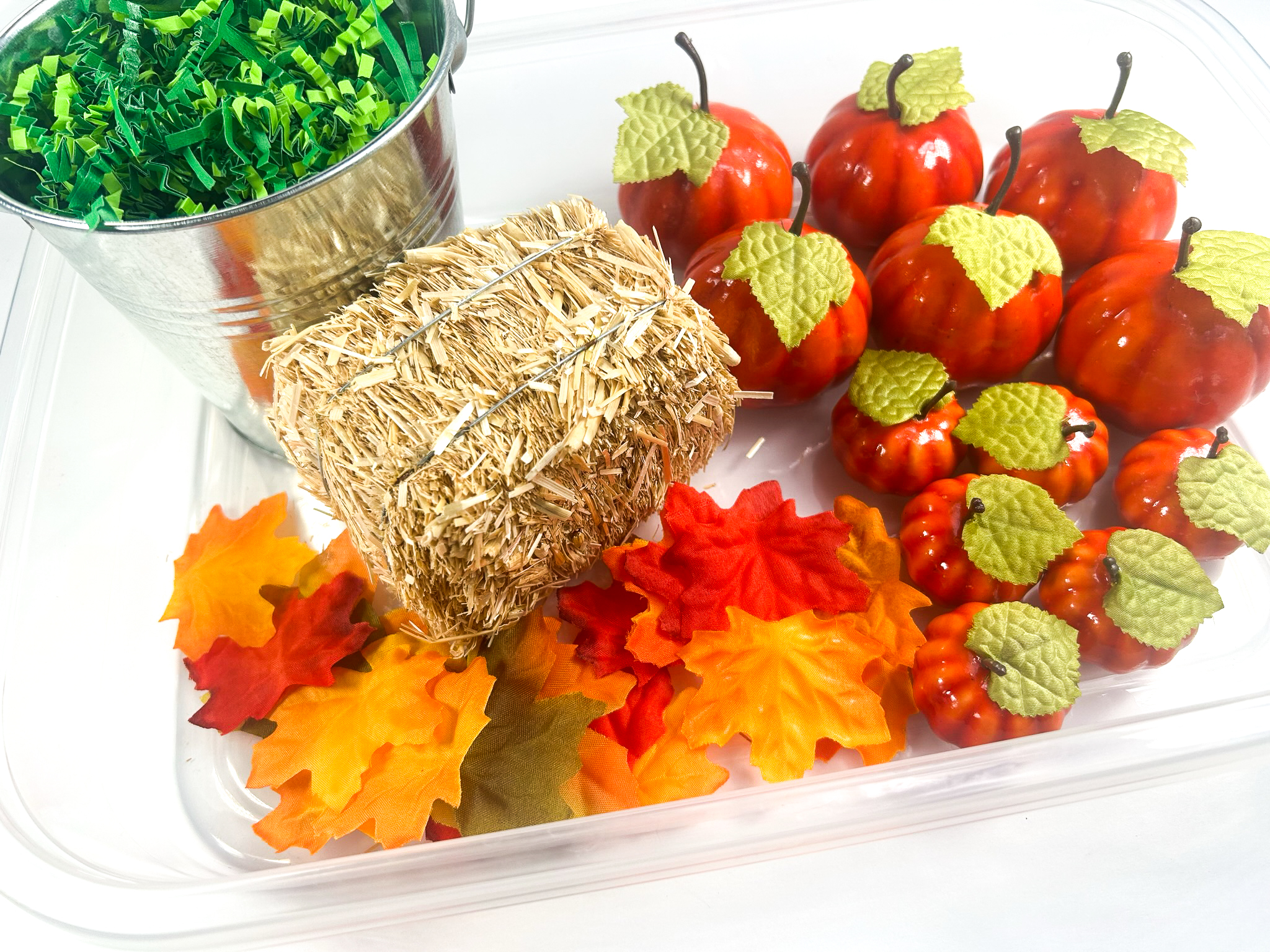 Easy Pumpkin Sensory Bin For Fall - Little Bins for Little Hands