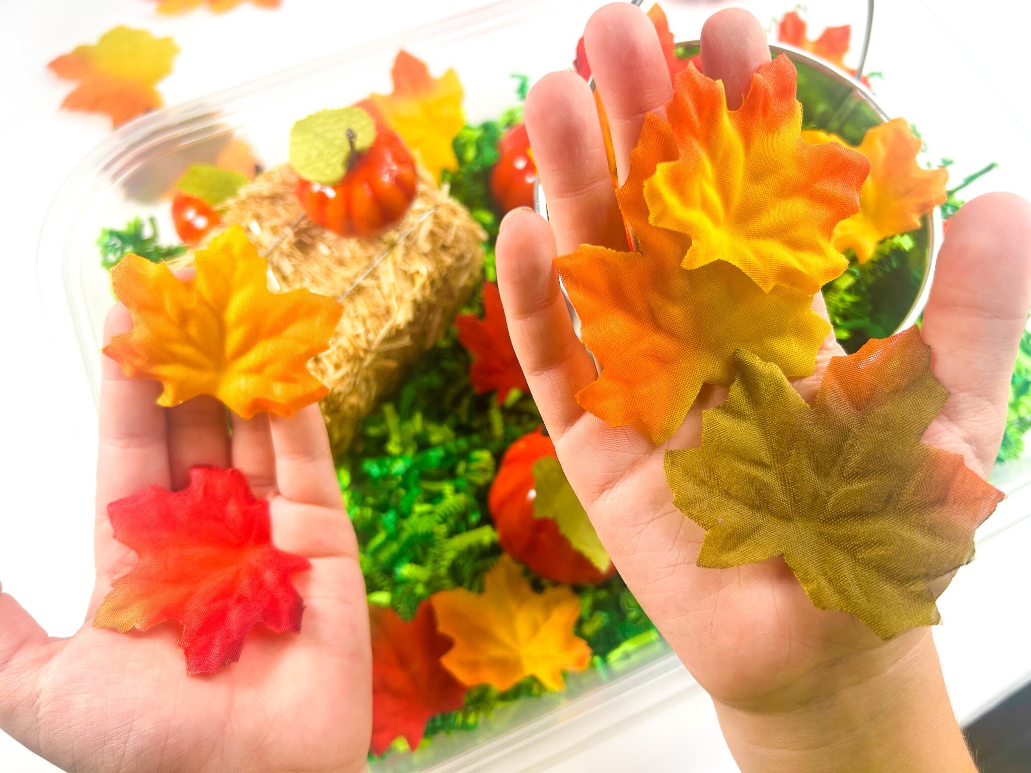 Easy Pumpkin Sensory Bin For Fall - Little Bins for Little Hands
