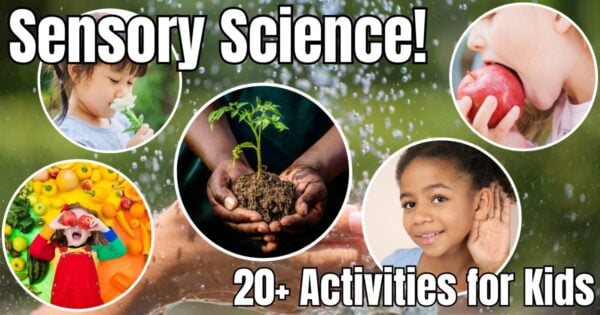 Sensory Science Activities for Preschool | 25+ Experiments