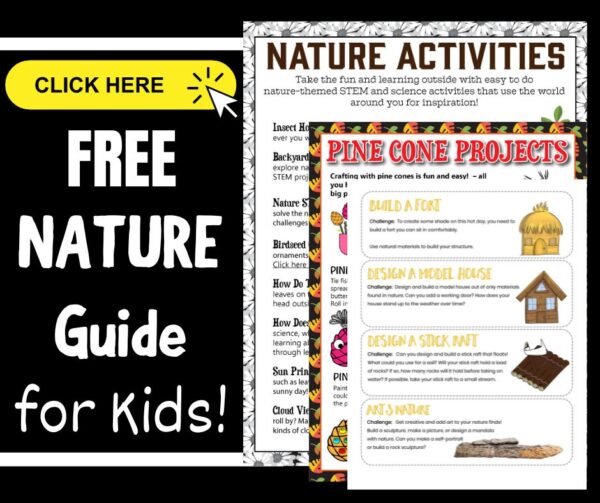 Nature Summer Camp Activities - Little Bins for Little Hands