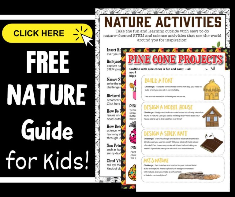 Fun Nature Activities for Kids - Little Bins for Little Hands