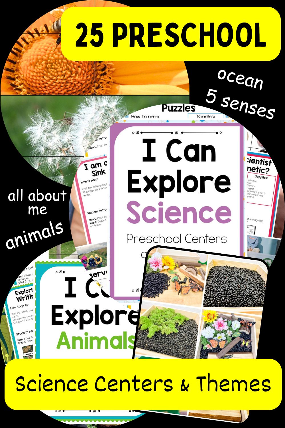 How To Set Up Science Centers For Preschool