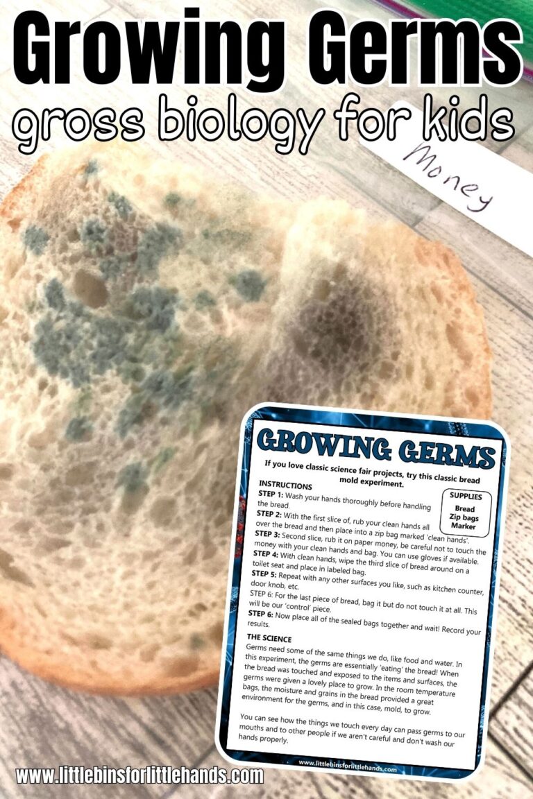 Germ Science Experiment - Little Bins for Little Hands