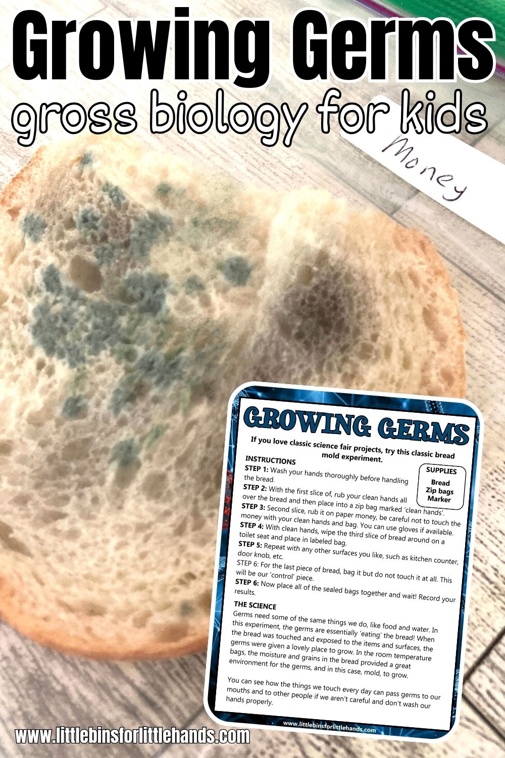 Germ Science Experiment - Little Bins for Little Hands