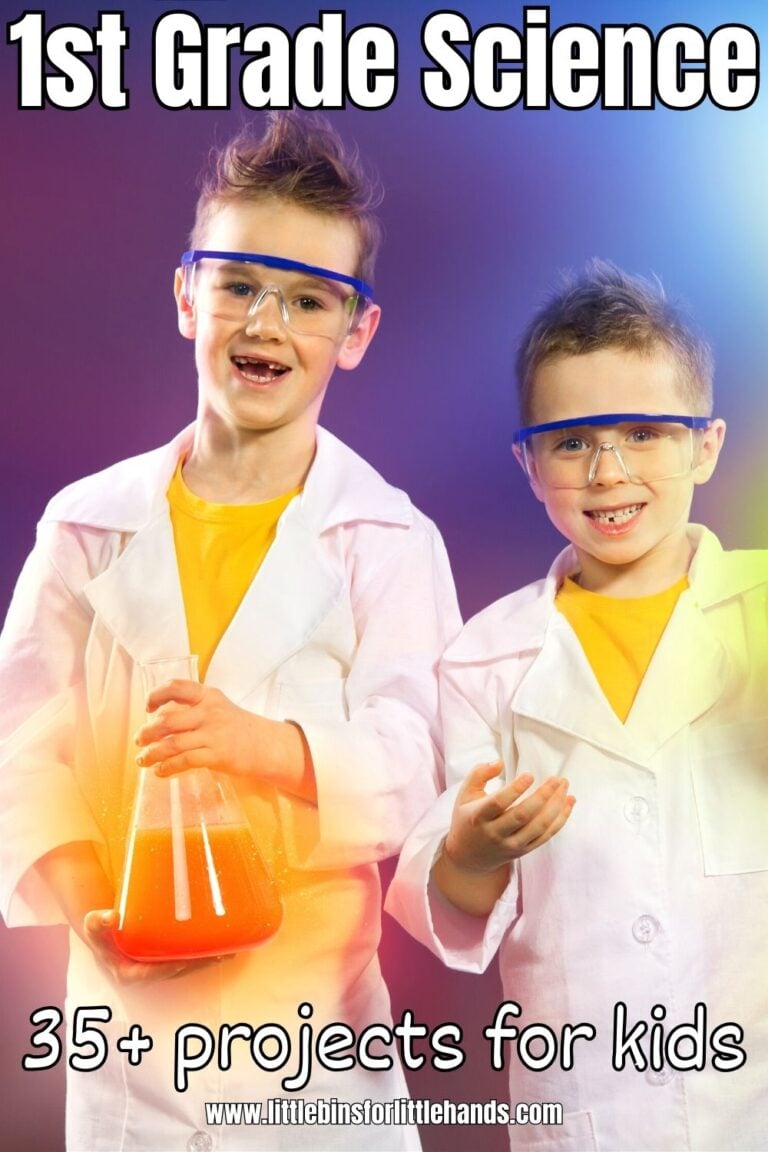 35 Science Projects For 1st Graders - Little Bins for Little Hands