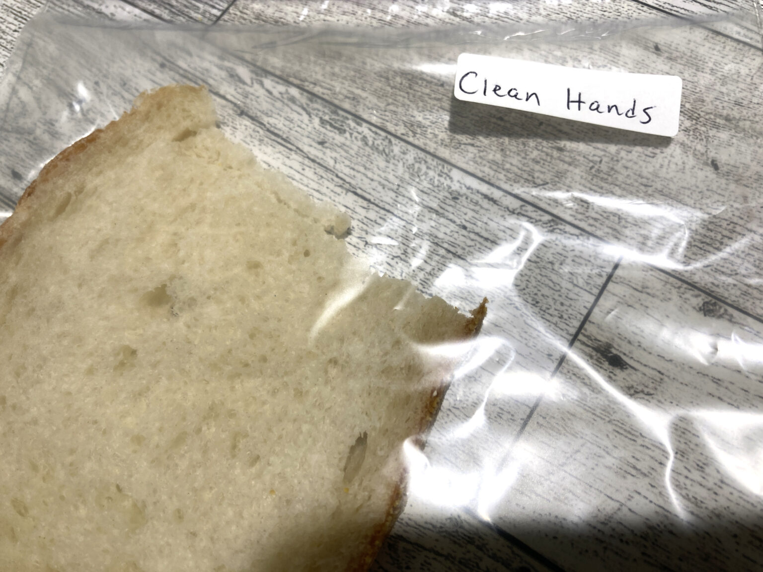 Germ Science Experiment - Little Bins for Little Hands