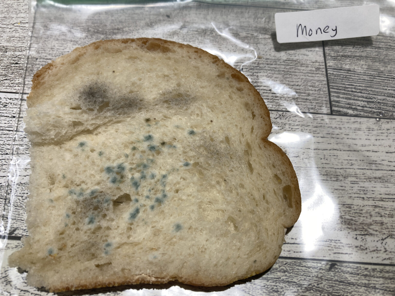 Germ Science Experiment - Little Bins for Little Hands