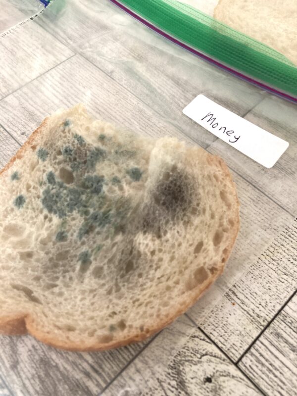 Germ Science Experiment - Little Bins for Little Hands