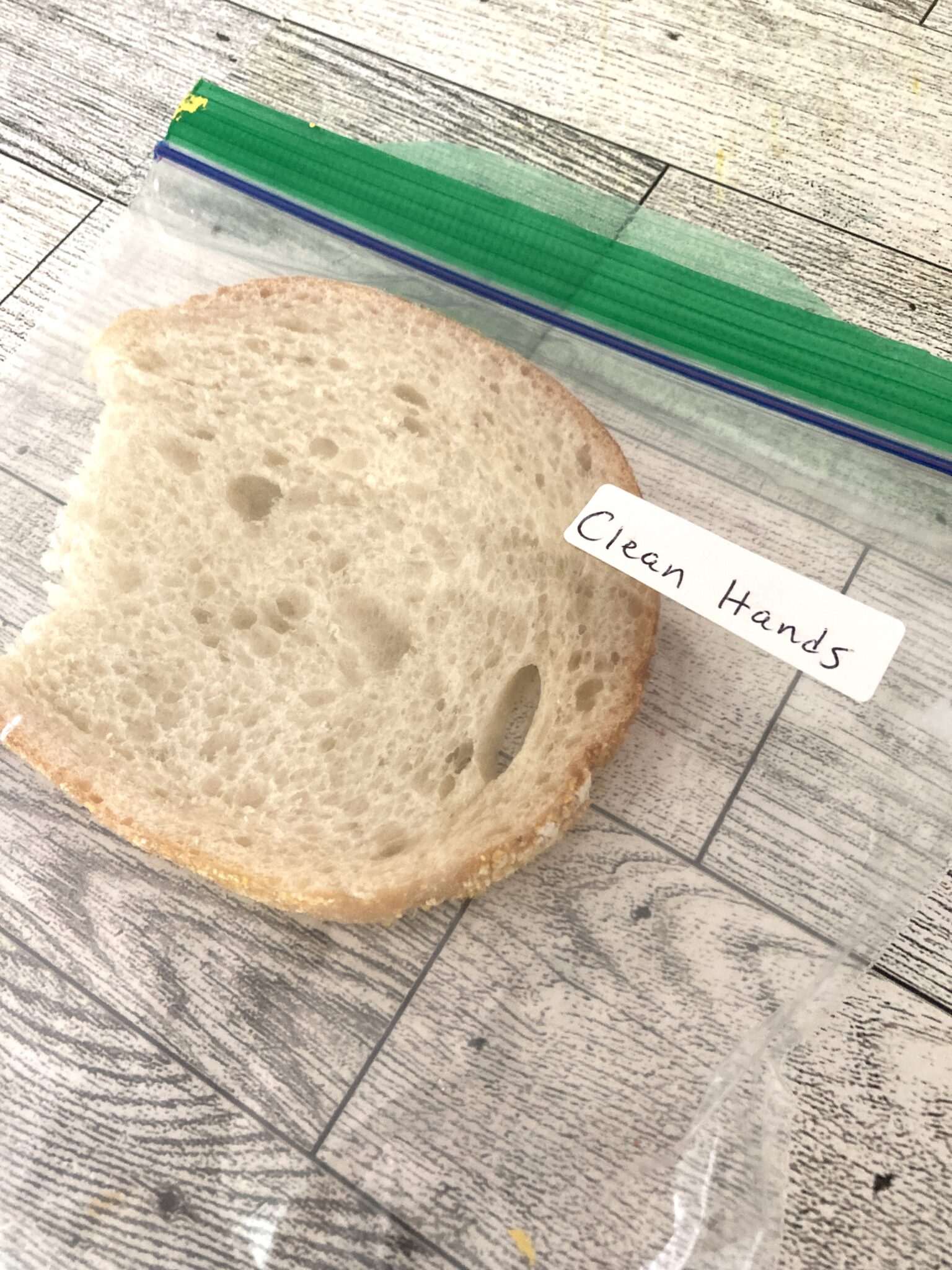 Germ Science Experiment - Little Bins for Little Hands