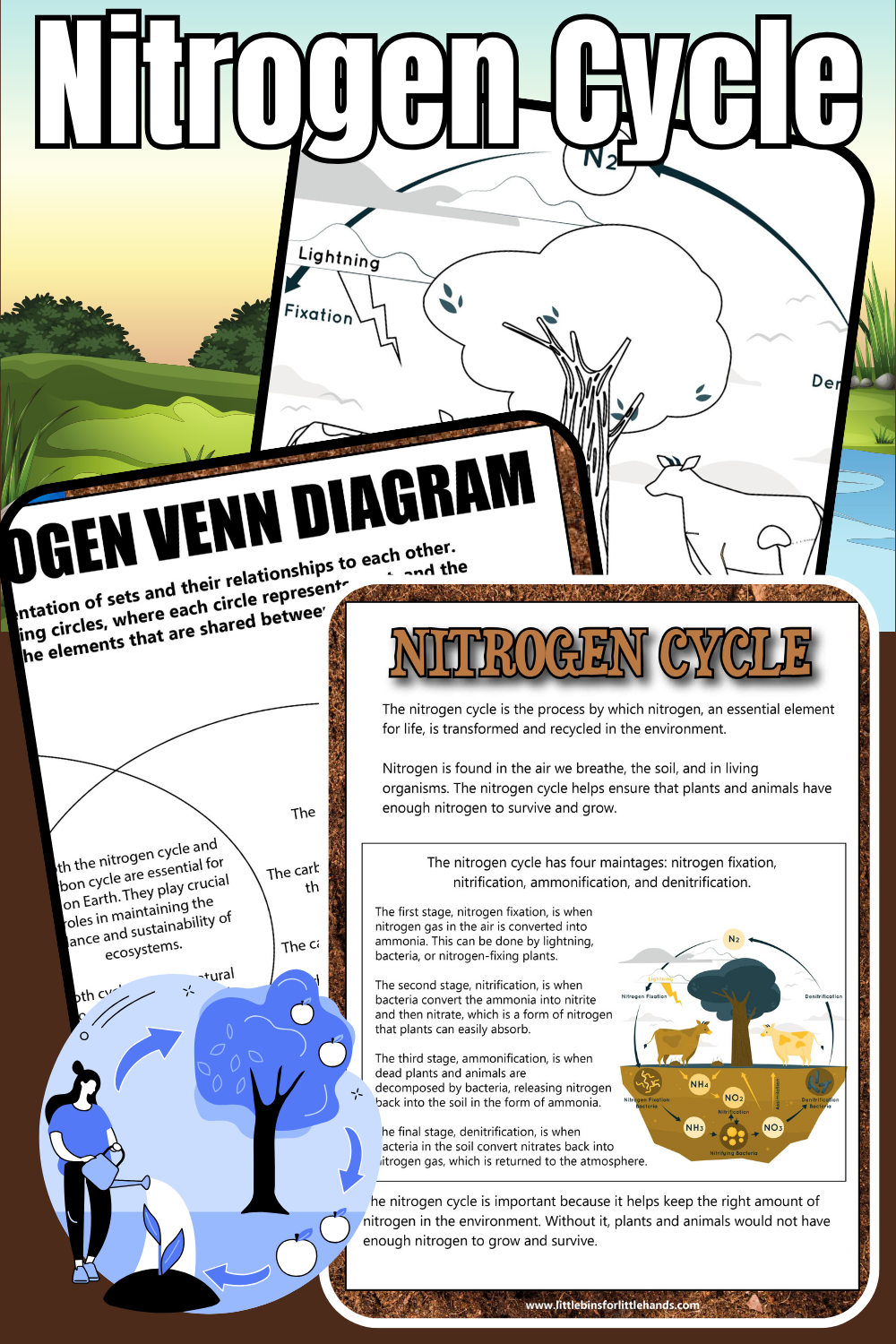 Nitrogen Cycle Activities for Kids