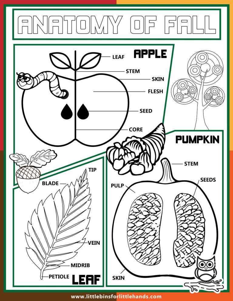 Must Try Printable Fall STEM Activities - Little Bins for Little Hands