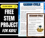 Nitrogen Cycle Activities for Kids