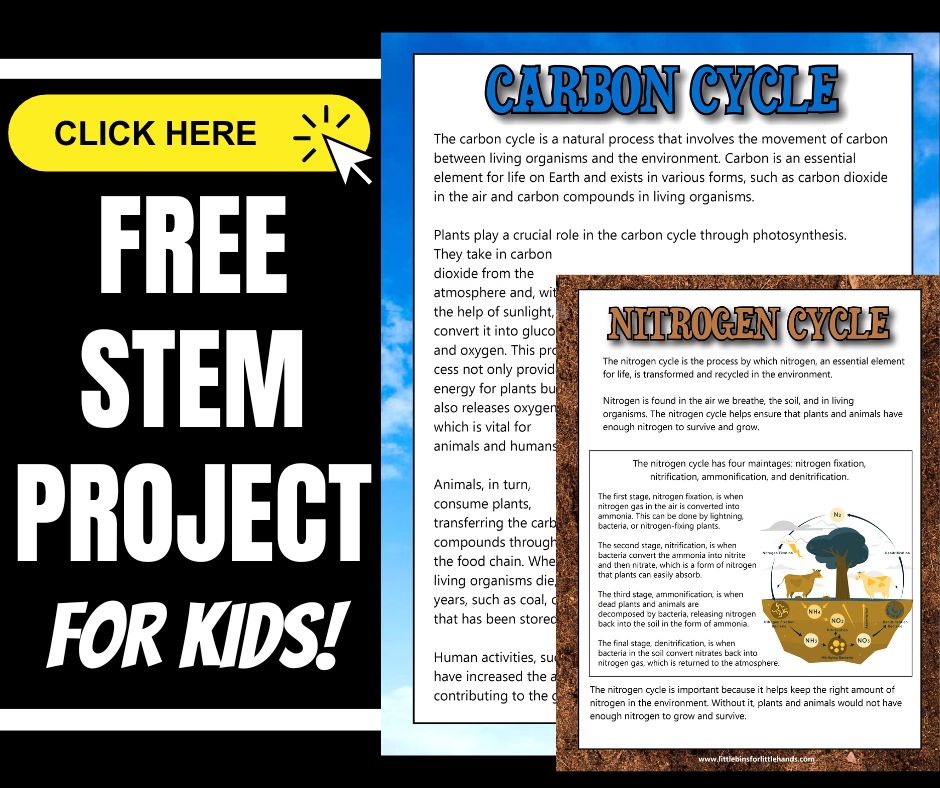What Is The Carbon Cycle - Little Bins for Little Hands