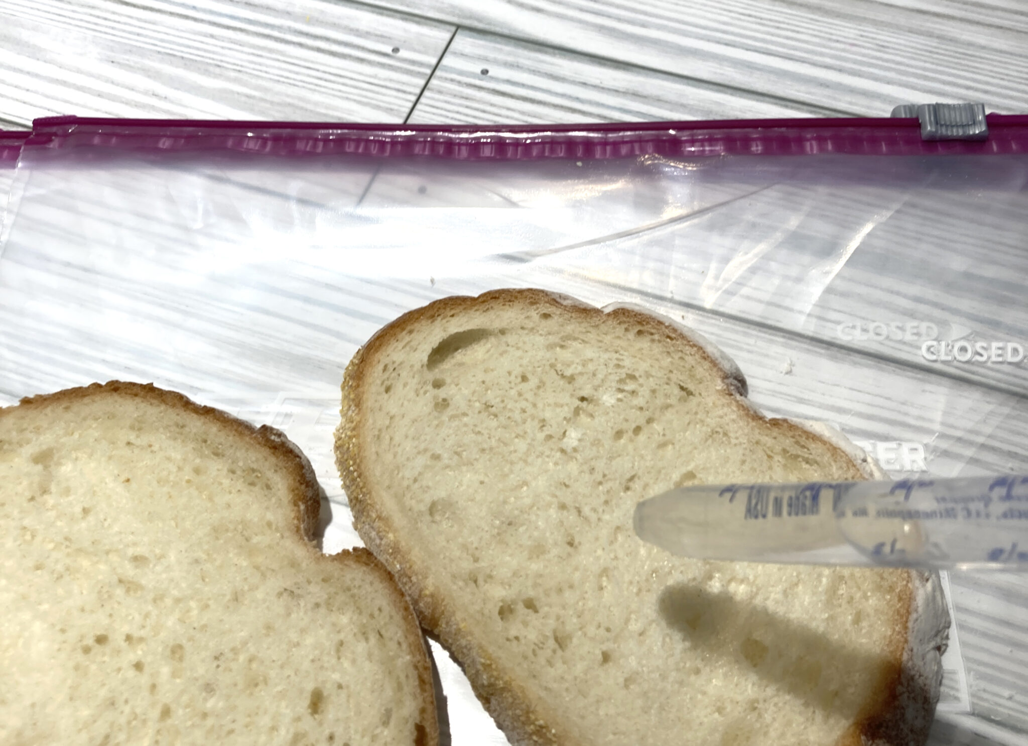 Bread Mold Experiment - Little Bins for Little Hands