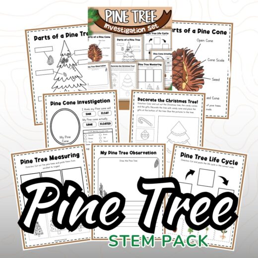 Create a Taiga Diorama with Our Free Printable - Little Bins for Little ...