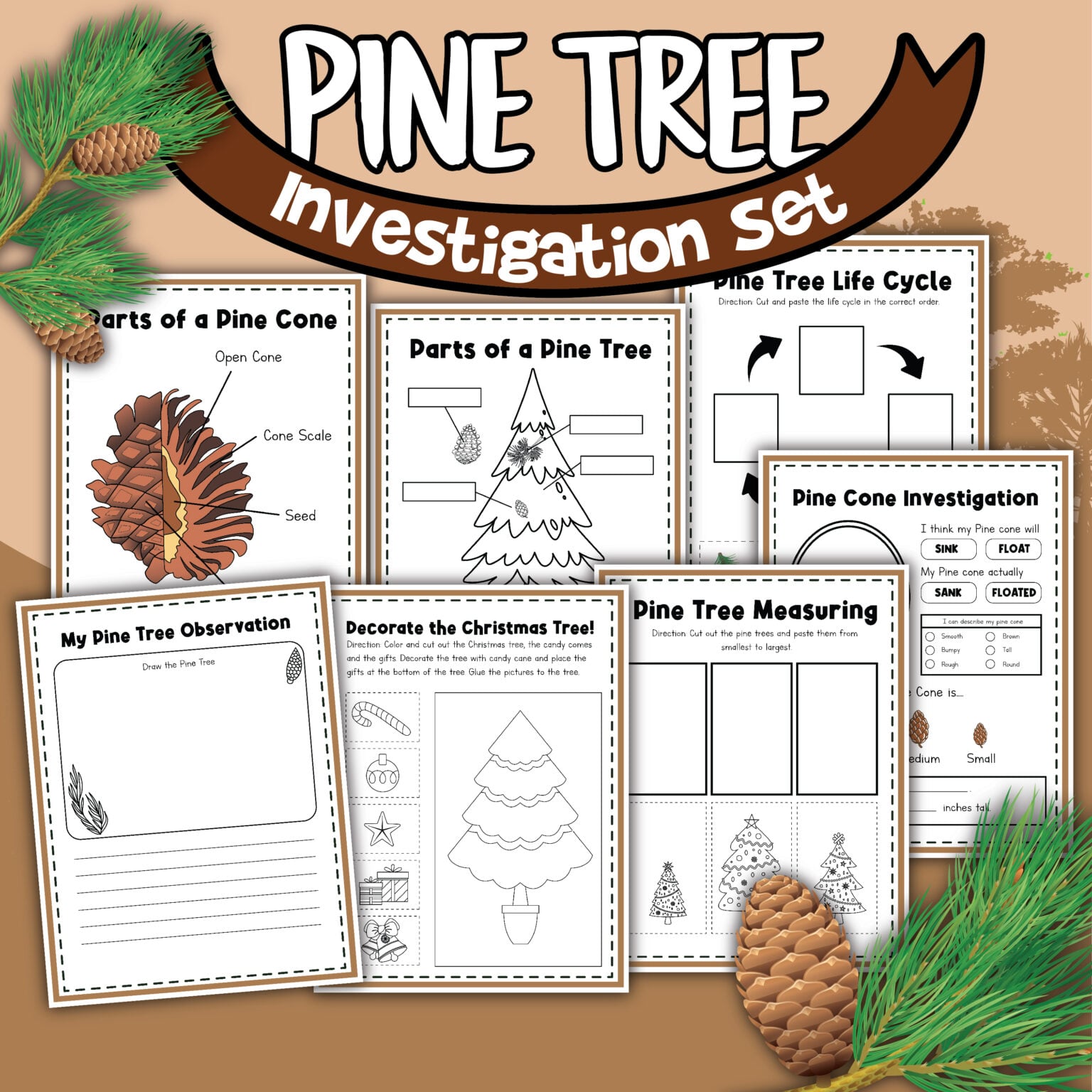 Evergreen Preschool Observation Activity - Little Bins for Little Hands