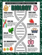 Biology Experiments for Kids (Free Printables)