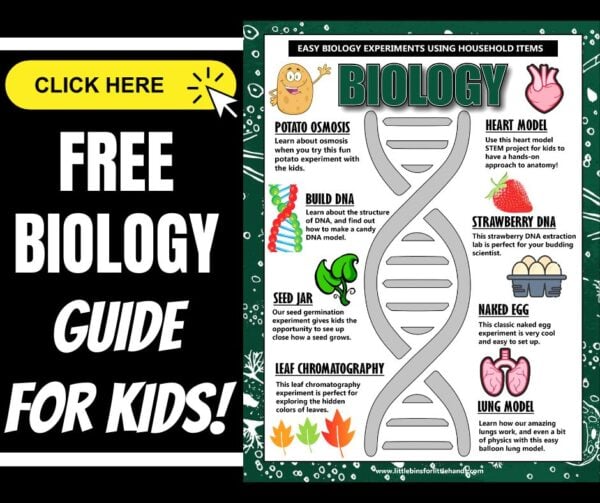 Biology Experiments for Kids (Free Printables)