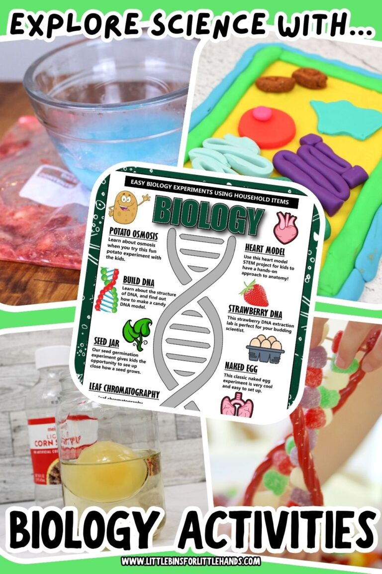Biology Experiments for Kids (Free Printables)