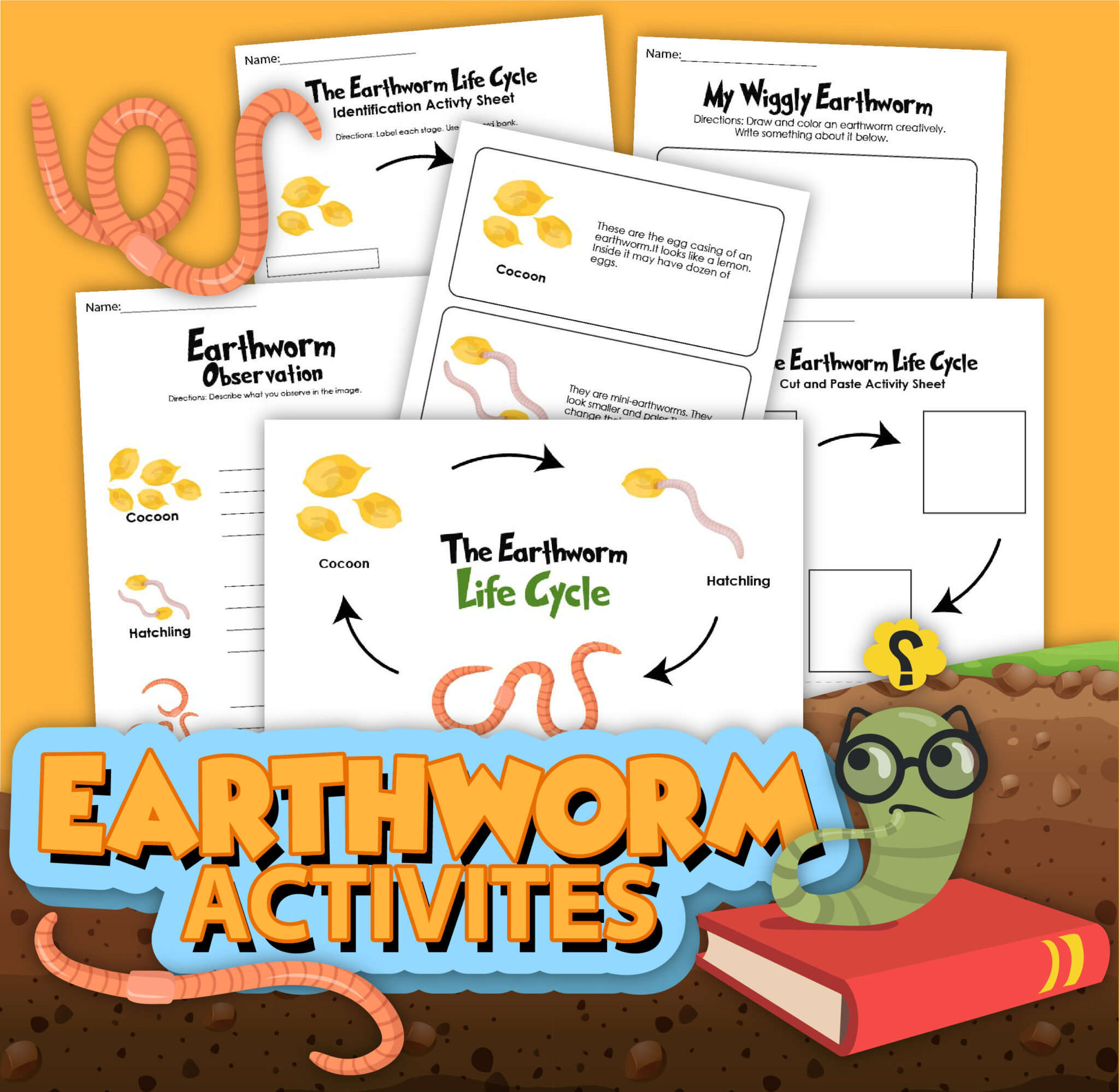 Animal Life Cycles - Little Bins for Little Hands