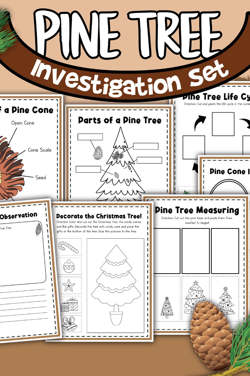 Life Cycle of a Pine Tree - Little Bins for Little Hands